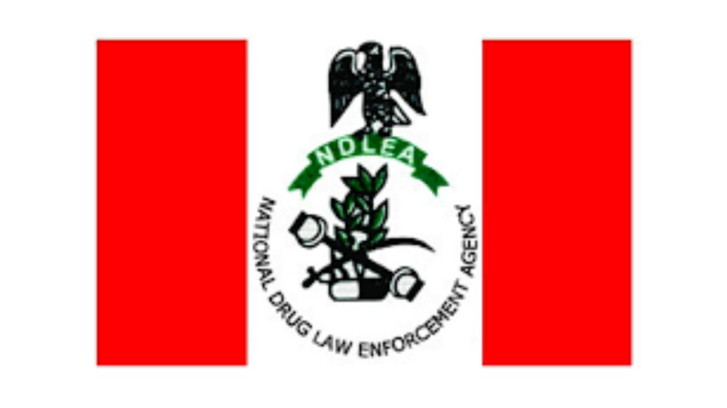NDLEA Promotes Eight Marine Officers For A Show Of Gallantry In ...